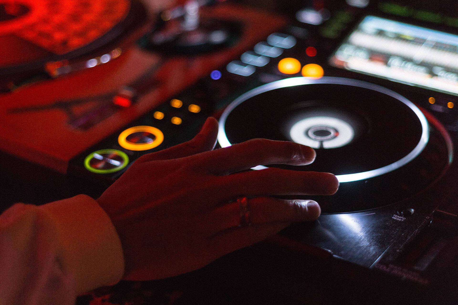 Rolls With Pickles – Jess Bee Official